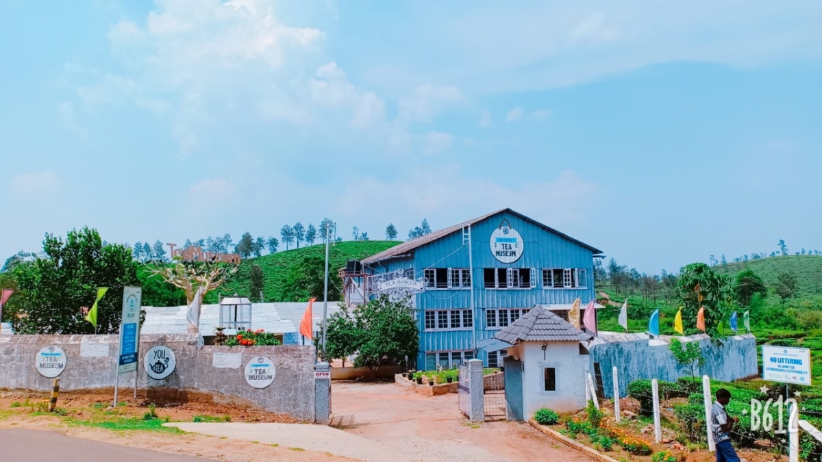 Wayanad Harrisons Tea Plantation Holiday – Tea Town Kerala by Harrisons ...